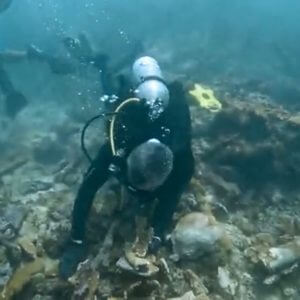 Photo Gallery - FORCE BLUE