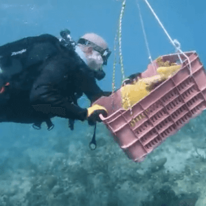 Photo Gallery - FORCE BLUE